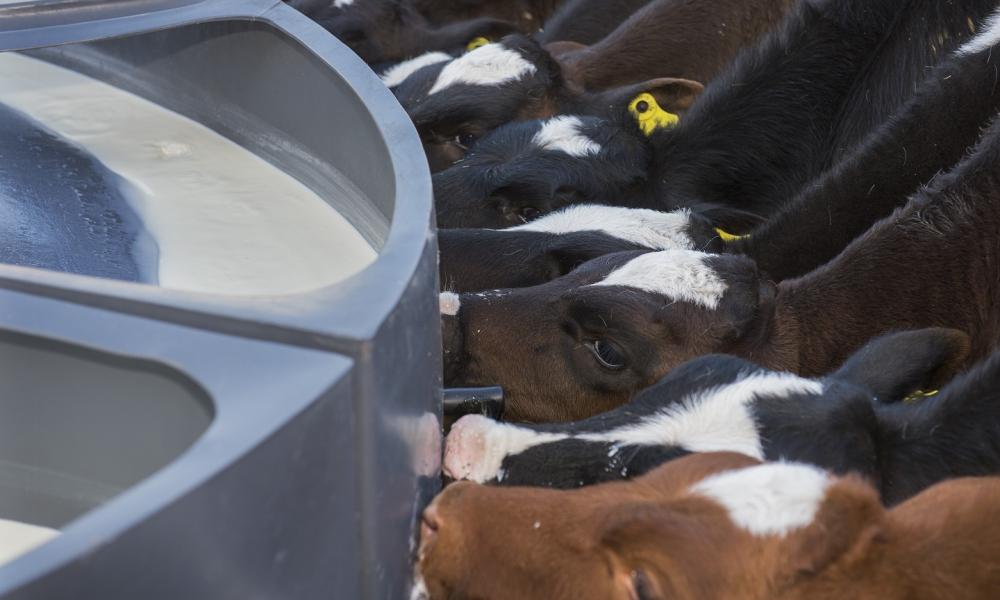 Cargill Animal Nutrition UK News
