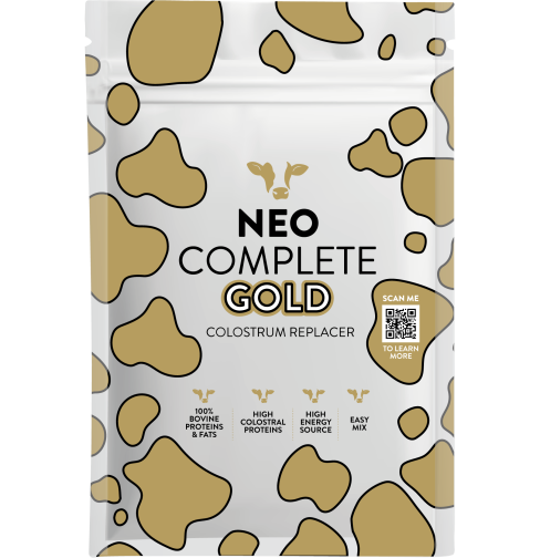 Neo Complete Gold